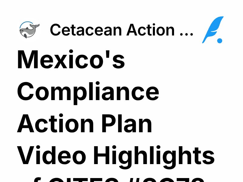 Mexico's Compliance Action Plan Video Highlights of CITES #SC78 ...