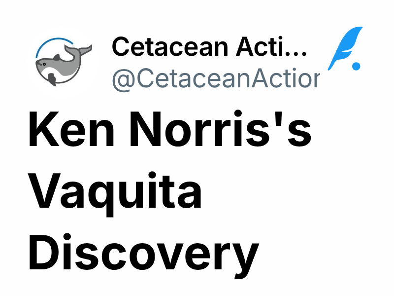 Ken Norris's Vaquita Discovery | Cetacean Action Treasury