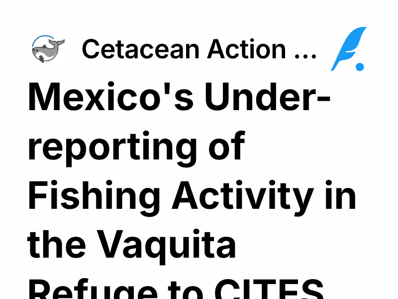 Mexico's Under-reporting of Fishing Activity in the Vaquita Refuge to ...