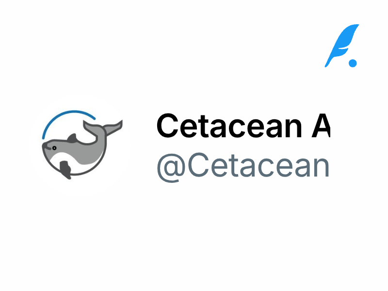 Cetacean Action Treasury (@CetaceanAction_1)