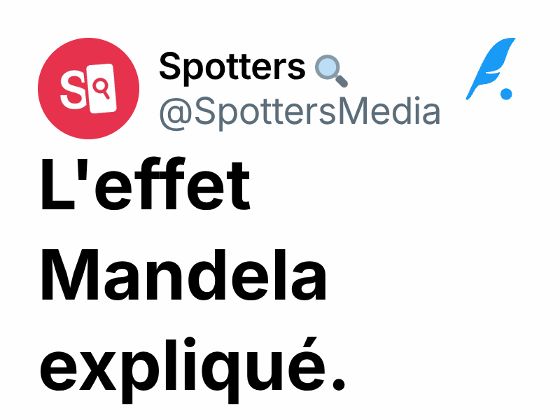 L'effet Mandela expliqué. | Spotters 🔍