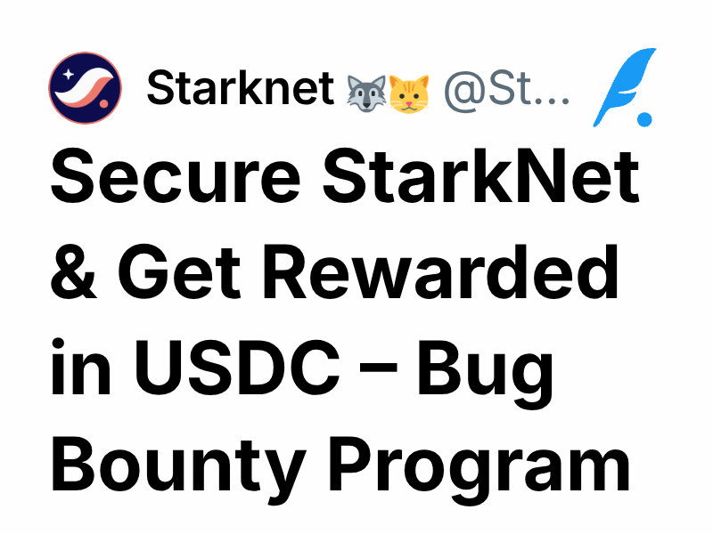 Secure StarkNet & Get Rewarded in USDC – Bug Bounty Program | Starknet 🐺🐱