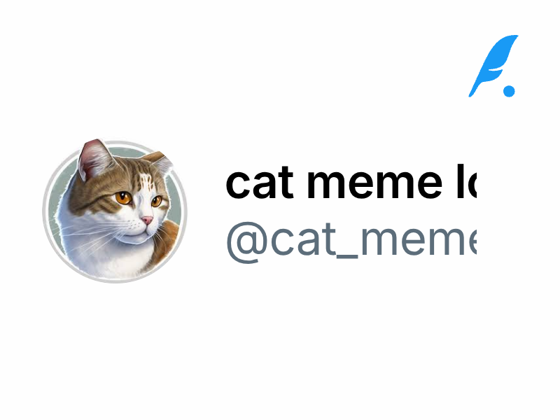 cat meme lover (@cat_memes_lover)