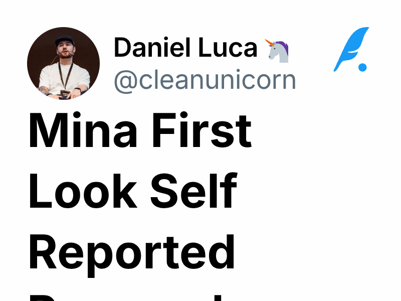 Mina First Look Self Reported Research | Daniel Luca 🦄