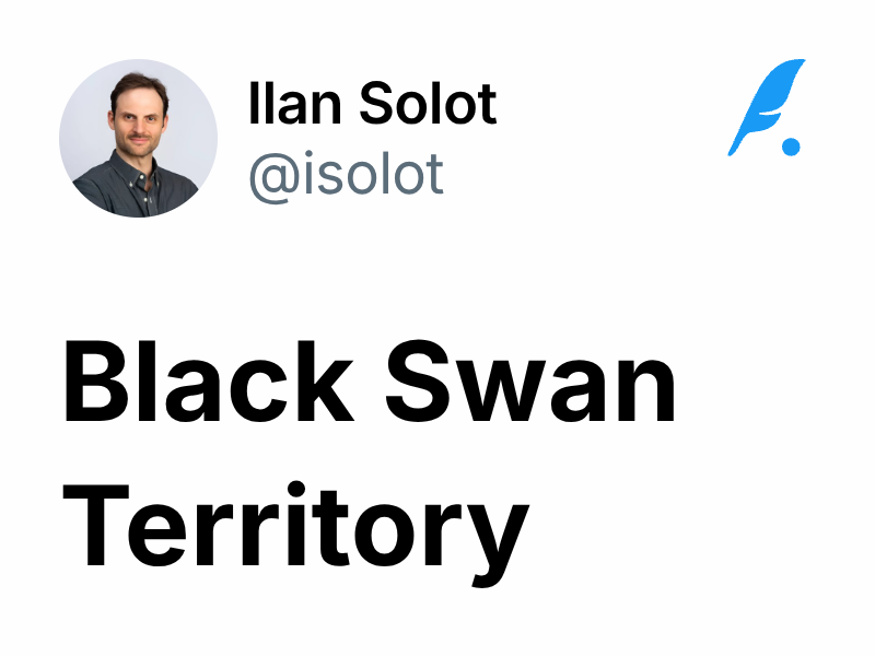 Black Swan Territory | Ilan Solot