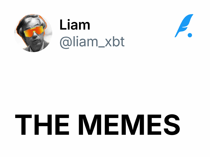 THE MEMES | Liam
